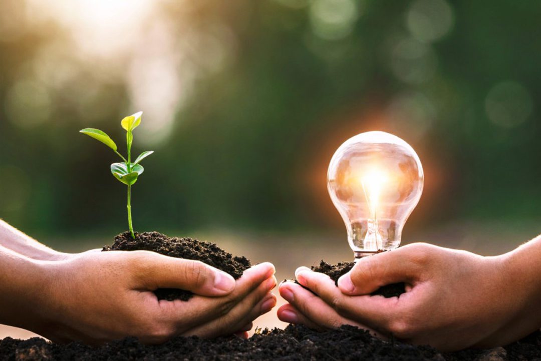 Natural Asset Companies (NACs) | Impact Entrepreneur