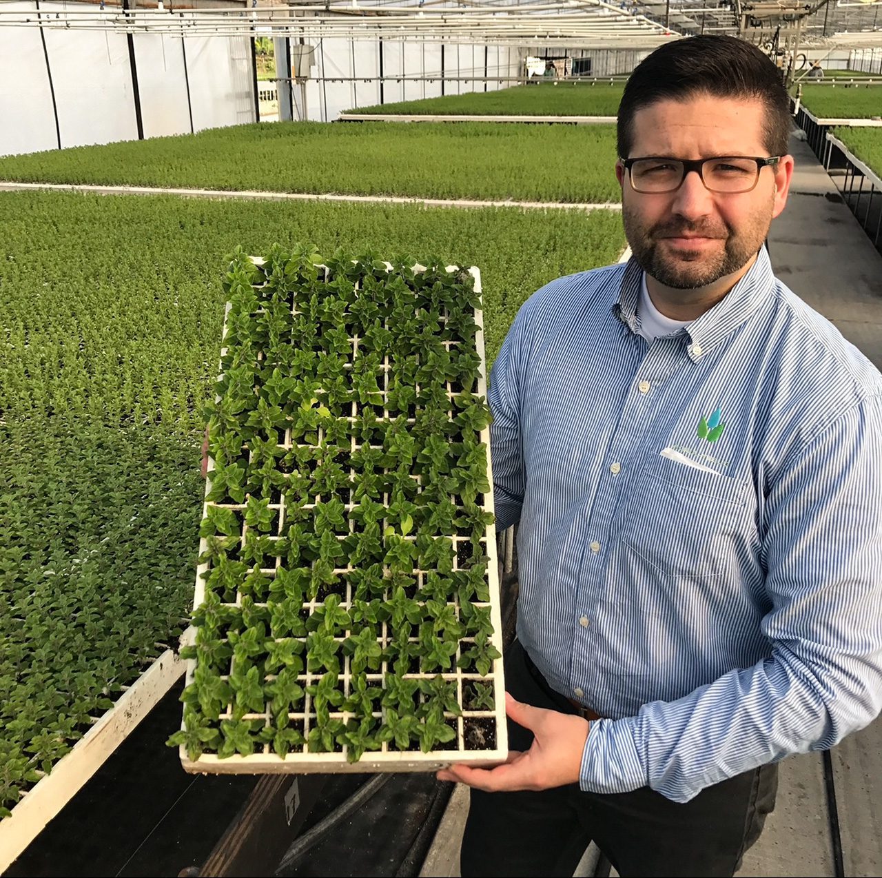 How Nanotechnology Can Revolutionize Farming | Impact Entrepreneur