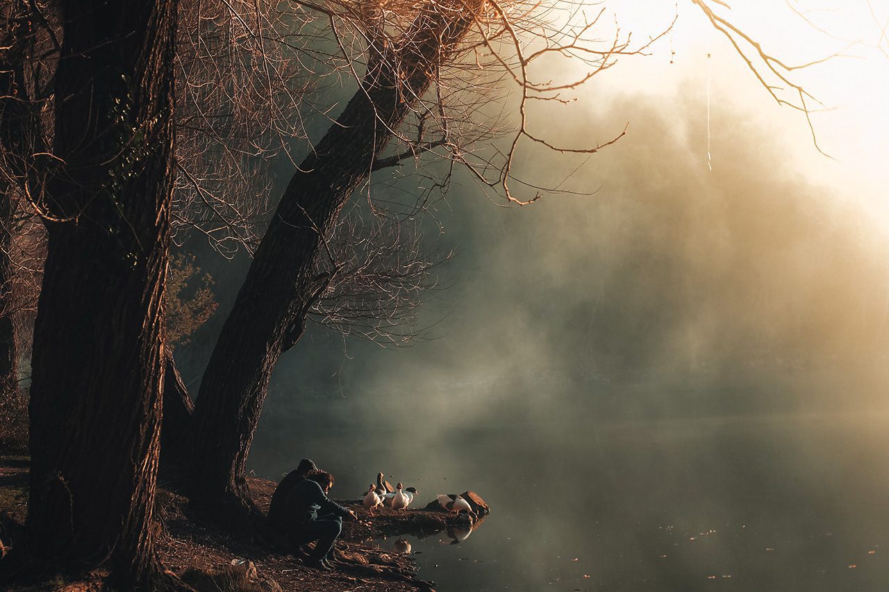 Regenerative Platform Ecosystems | Impact Entrepreneur