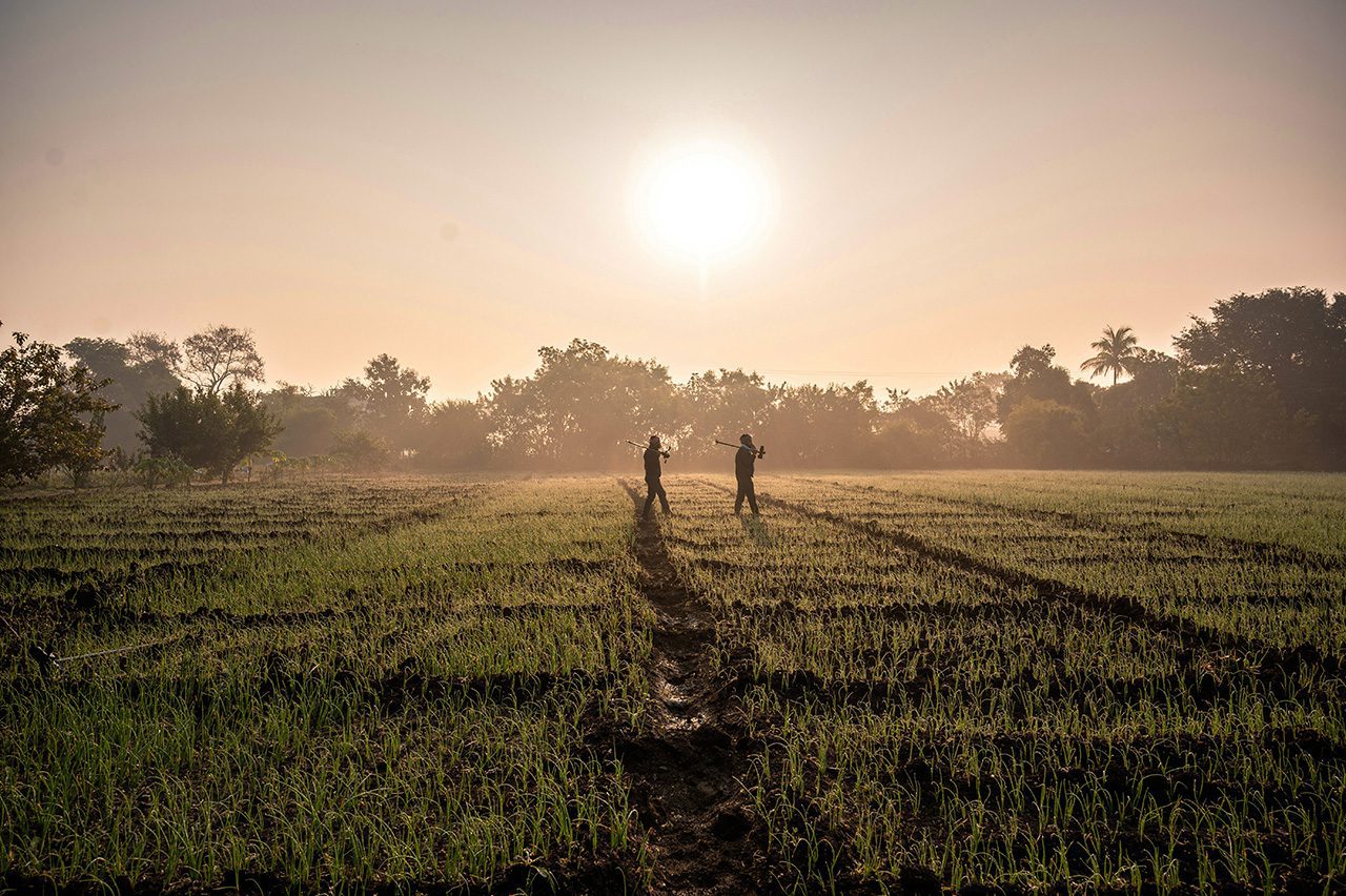 The Role of Domestic Capital in India's Net-Zero Transition